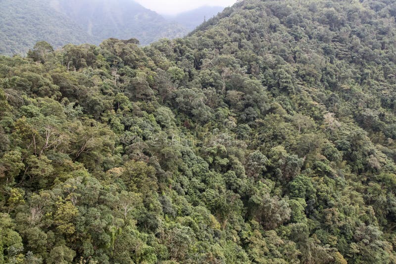 View of Forest and Mountain in National Park in Taiwan Stock Image ...