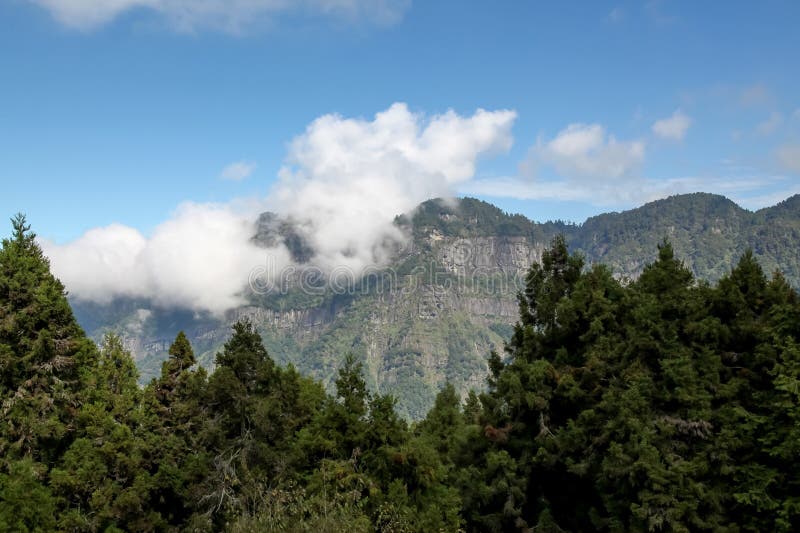 View of Forest and Mountain in National Park in Taiwan Stock Image ...