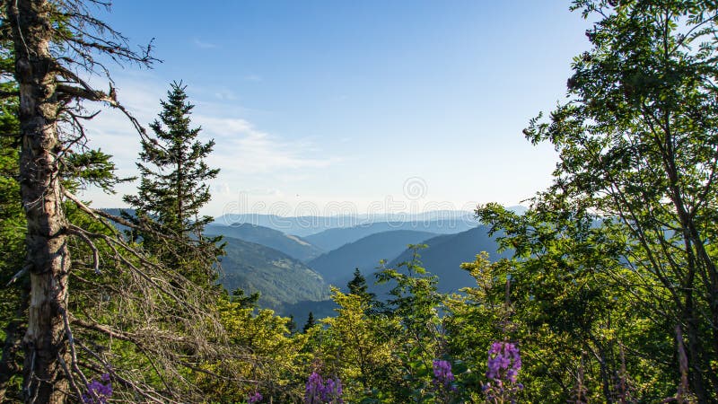 View from the Forest Over the Hills of the Black Forest Stock Image ...