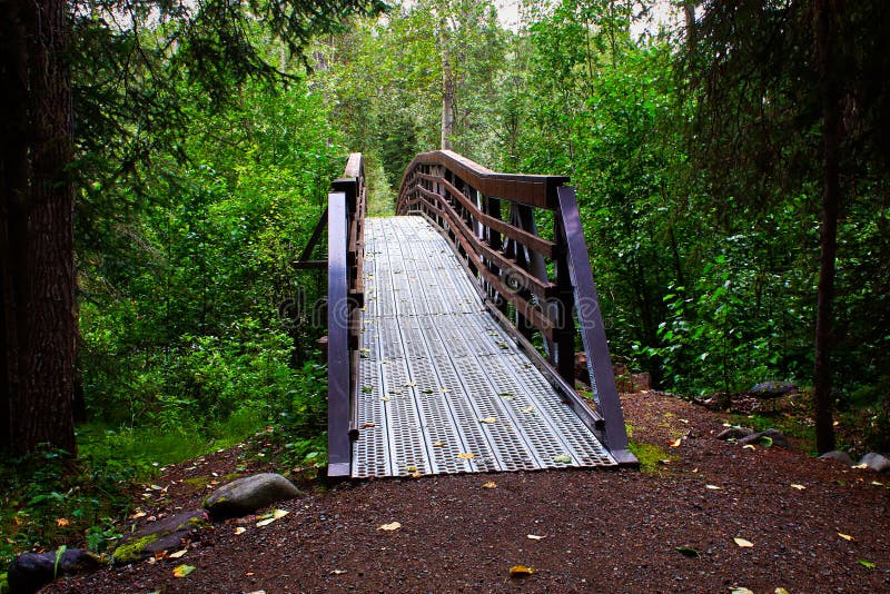 View of a Forest Path Leading To a Foot Bridge Stock Image - Image of ...