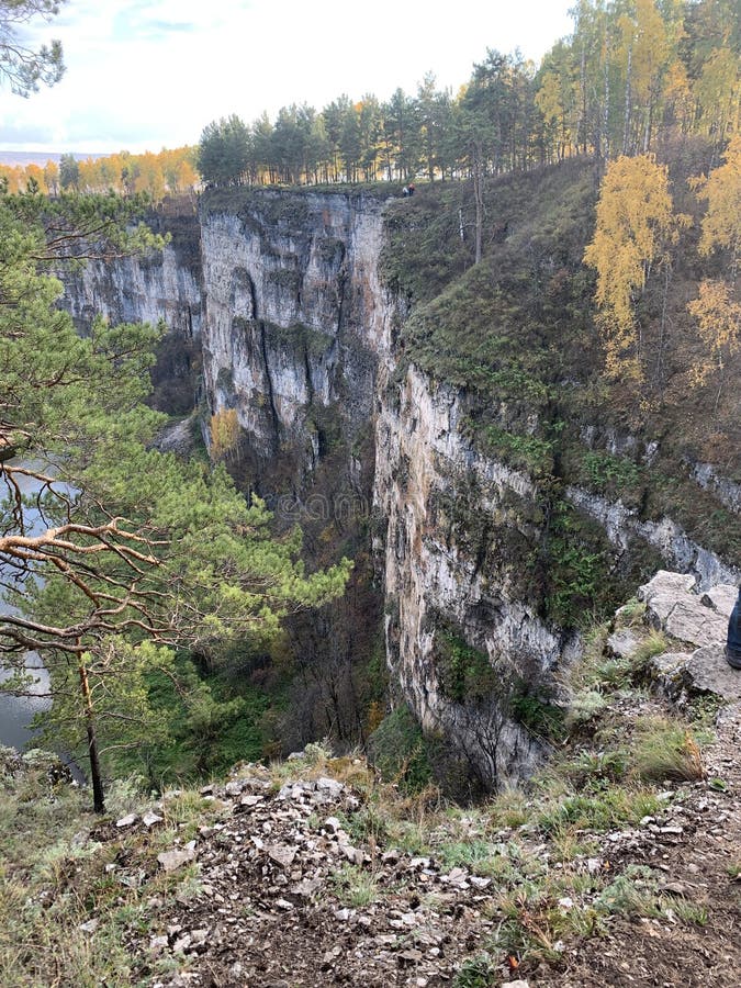 View on forest and river stock photo. Image of tranquil - 202703612