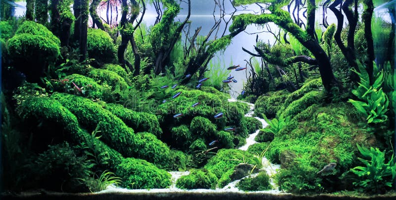 View Forest River Glass Box Stock Photos - Free & Royalty-Free Stock ...