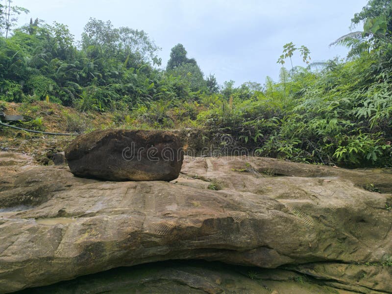 View of Forest and Rocks on the River Bank Stock Photo - Image of rocks ...