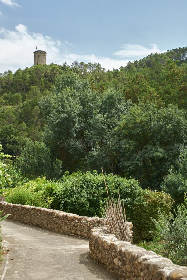 View of a Forest with a Stone Tower at the End Stock Photo - Image of ...