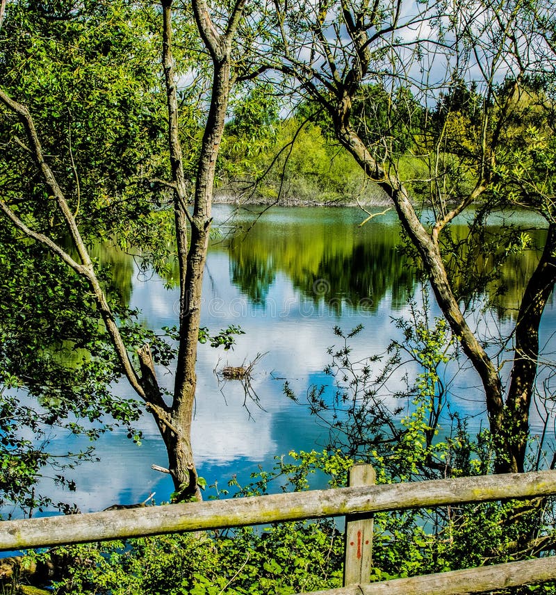 A View from a Fence at a Lake Stock Image - Image of reflection ...