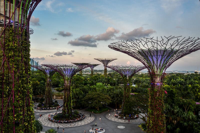 View Form the Top of Supertree Grove Stock Photo - Image of vacation ...