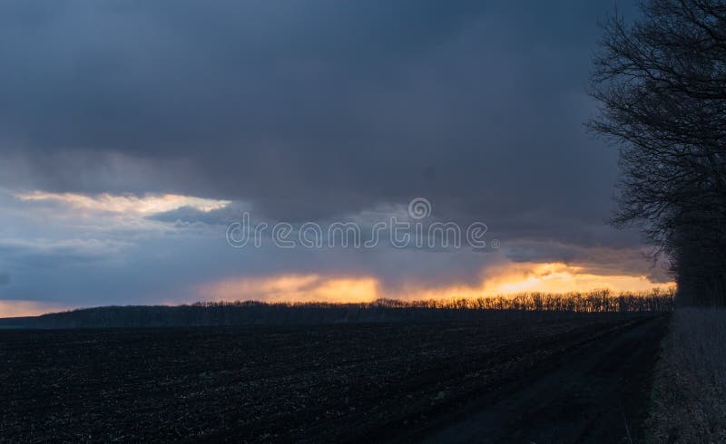 View of a Fresh Spring Field. There are Trees on the Horizon Stock ...