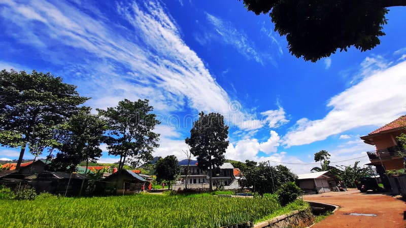 The View in Front of My House Stock Photo - Image of tree, landscape ...