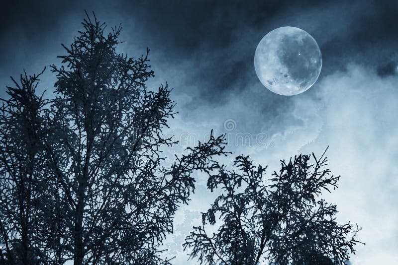 A Large Full Moon Over the Trees at Night. Stock Image - Image of ...