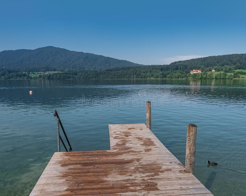 The View from a Frontbridge at a Swimming Duck. Stock Photo - Image of ...