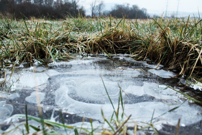 A frozen puddle stock photo. Image of winter, naturally - 109784294