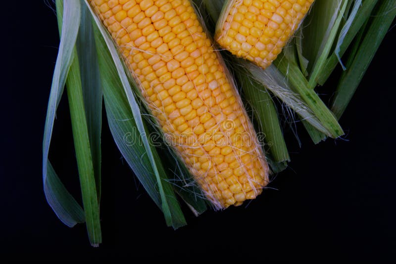 View a Full Corn with Skin Marked by Large Yellow Grains with a Black ...