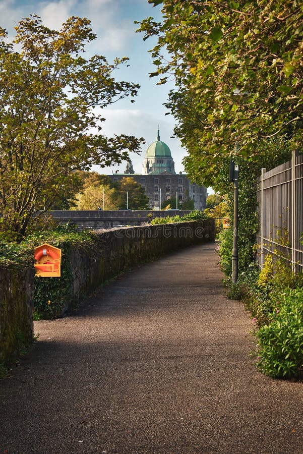 View at Galway Cathedral Trough the Trees Stock Image - Image of flower ...