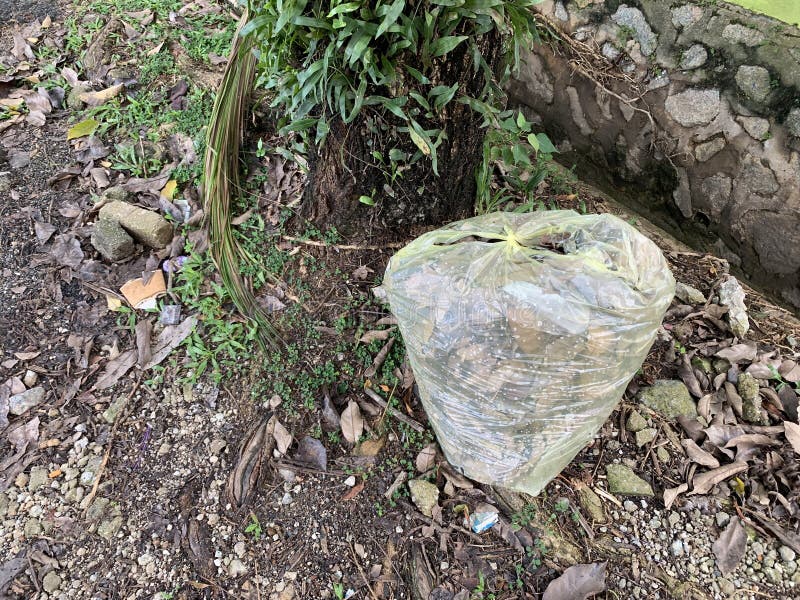 Garbage Plastic Bags Under the Tree Stock Image - Image of sunshine ...