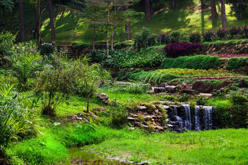 View of garden stock image. Image of rock, tree, water - 28615029