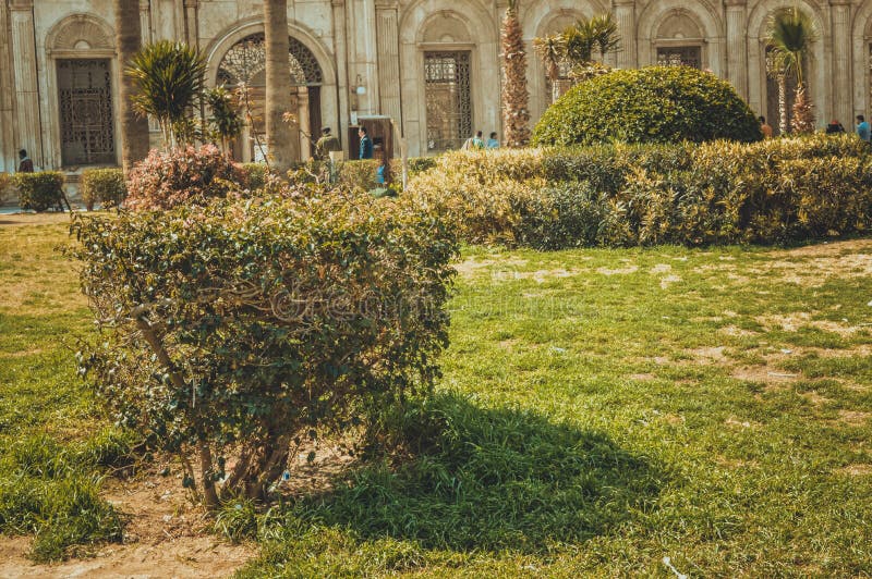 View of garden editorial image. Image of season, landscape - 87514925