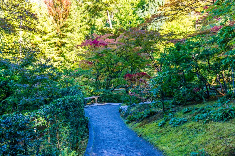 Path Bench and Trees 2 stock image. Image of trees, autumn - 166020729