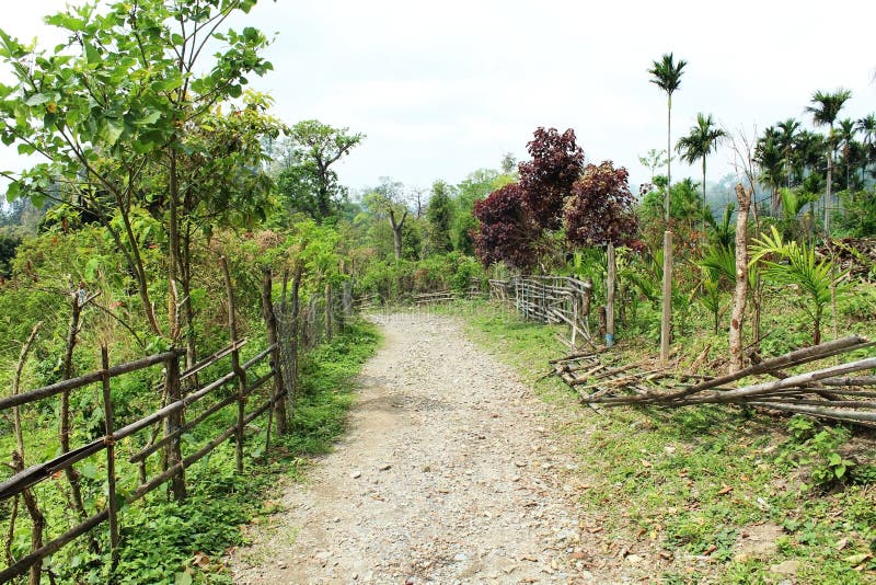 View of a Garden Which is Guarded Stock Image - Image of green, relax ...