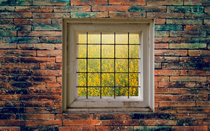 View of Garden through Window on Brick Wall Stock Photo - Image of ...