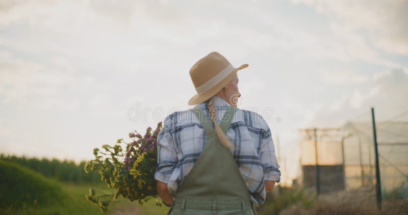 View of Gardener Walking Towards Sunset Stock Footage - Video of serene ...