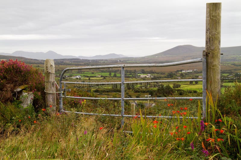 View through Gate on Landscape with Wildflowers Stock Image - Image of ...