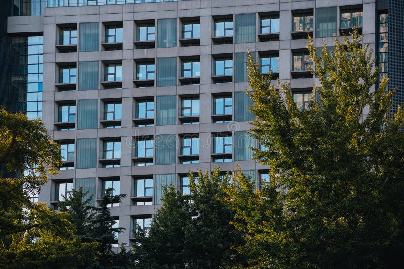 View of Glassy Building after the Sunrise with the Sunlight Reflecting ...