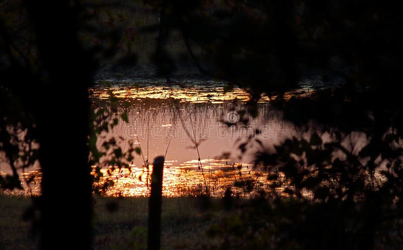 GOLDEN REFLECTION of LIGHT from SETTING SUN on a RIVER Stock Photo ...