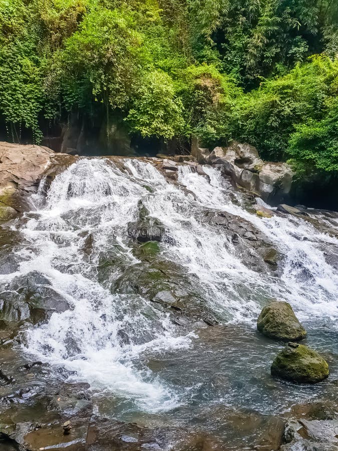 Rang-Reng Waterfall On Bali Island Indonesia Stock Photo - Image of ...