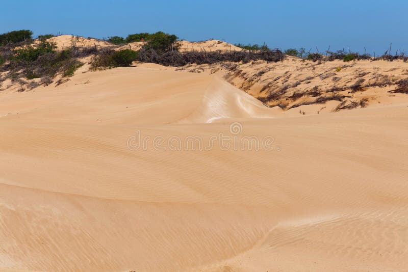 View of the Golden Sand Dunes of the African Atlantic Ocean Coast Stock ...