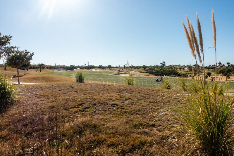 View of a Golf Course in Spain with Tall Grass in the Foreground Stock ...