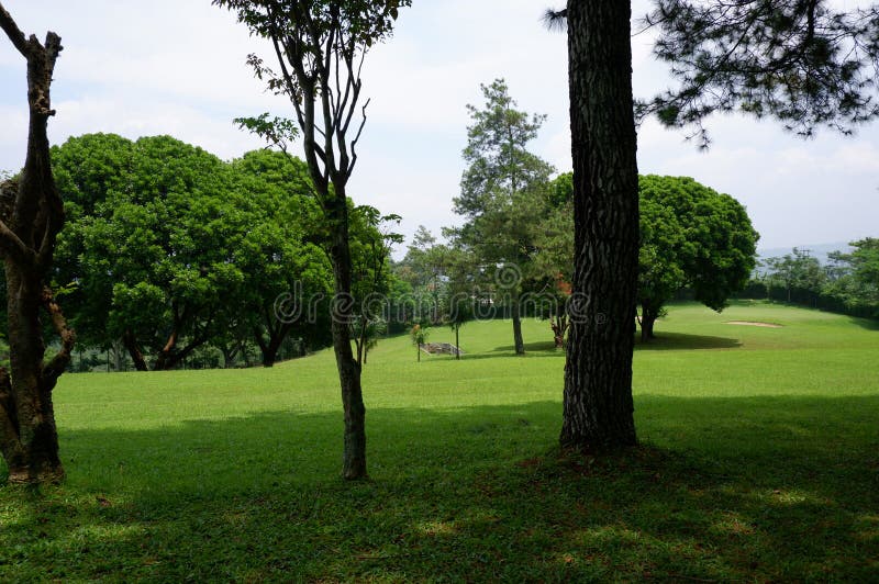 A View of Golf Course and Trees. Stock Photo - Image of garden, grassy ...
