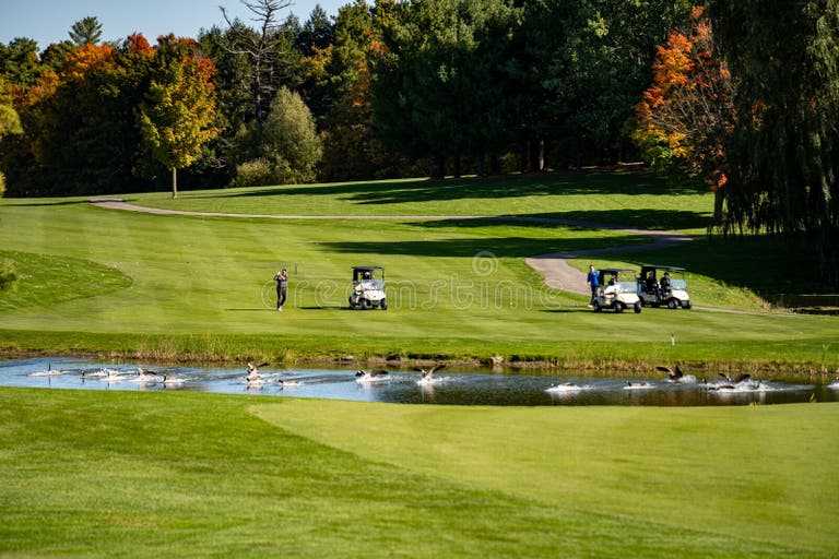 View of Golfers Playing on a Golf Course. Editorial Photography - Image ...