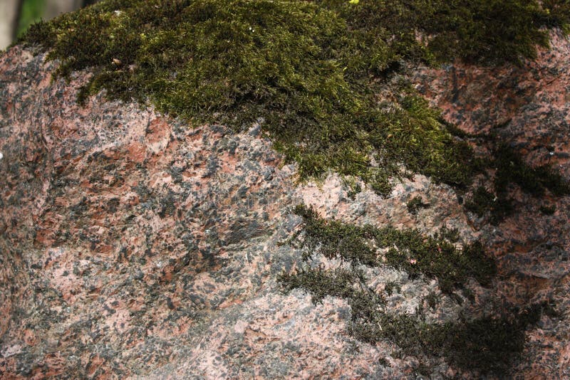 View of Granite Old Stone and Moss Stock Image - Image of aged, texture ...
