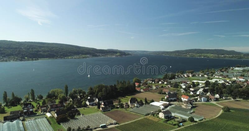View of the Grape Fields and Lake Constance from the Reichenau Island ...
