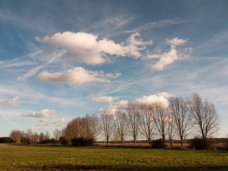A Beautiful Treeline in the Distance with a Gap Seen from the Po Stock ...