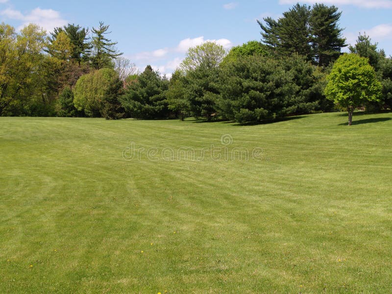 Manicured Lawn in a Neat Park with Trees in the Background Stock Image ...