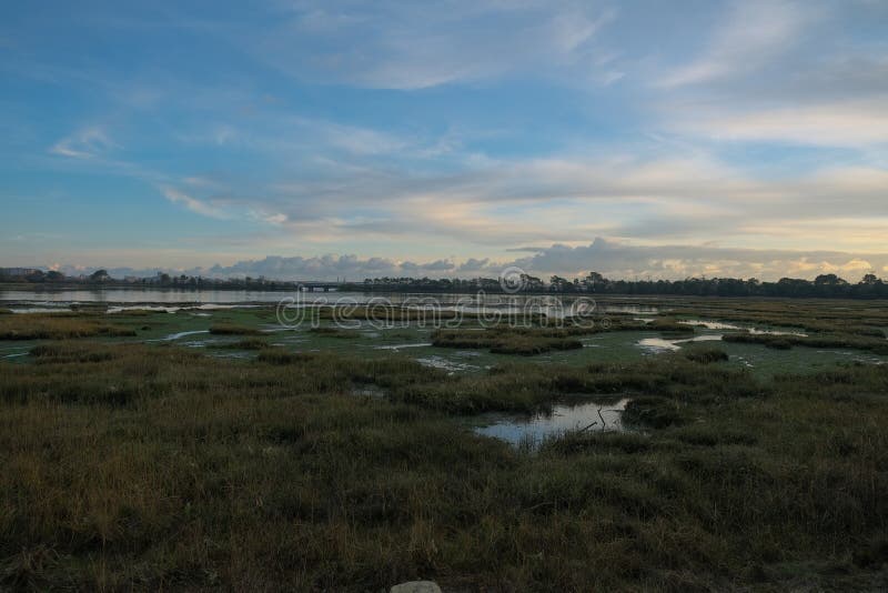 View of Grass on Swamp during Sunset Stock Image - Image of nature ...