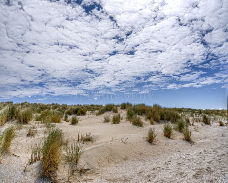 View of Grasses on a Desert Field Under a Cloudy Blue Sky Stock Image ...