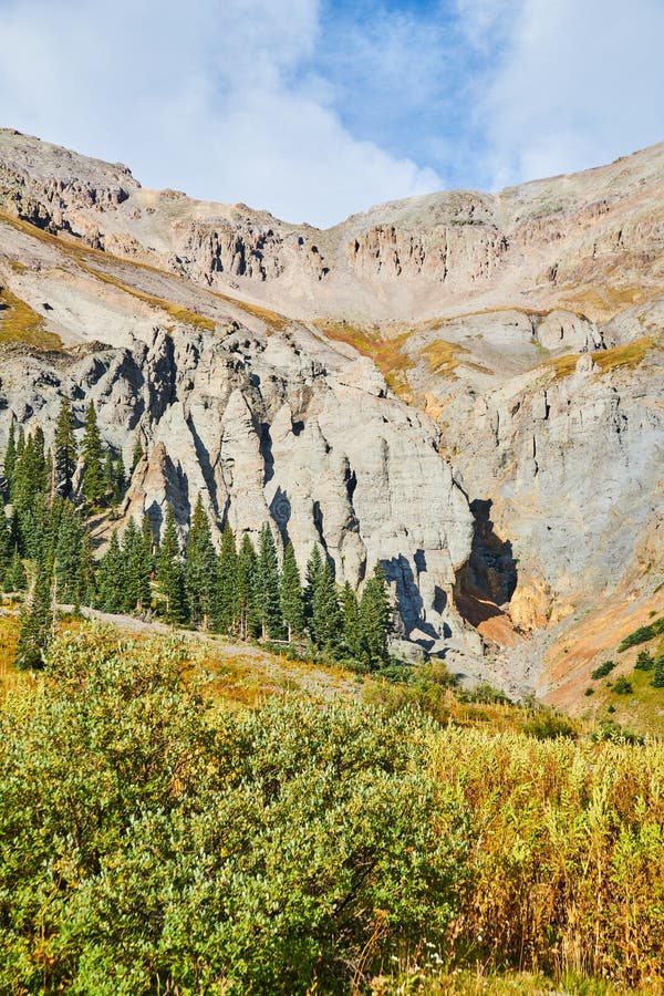 View of Gray Mountain Peaks in Early Fall with Pine Trees and Growth ...