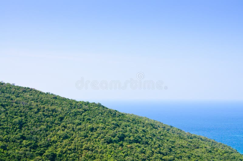The View of Green Forest on Mountainside with the Sea Stock Photo ...