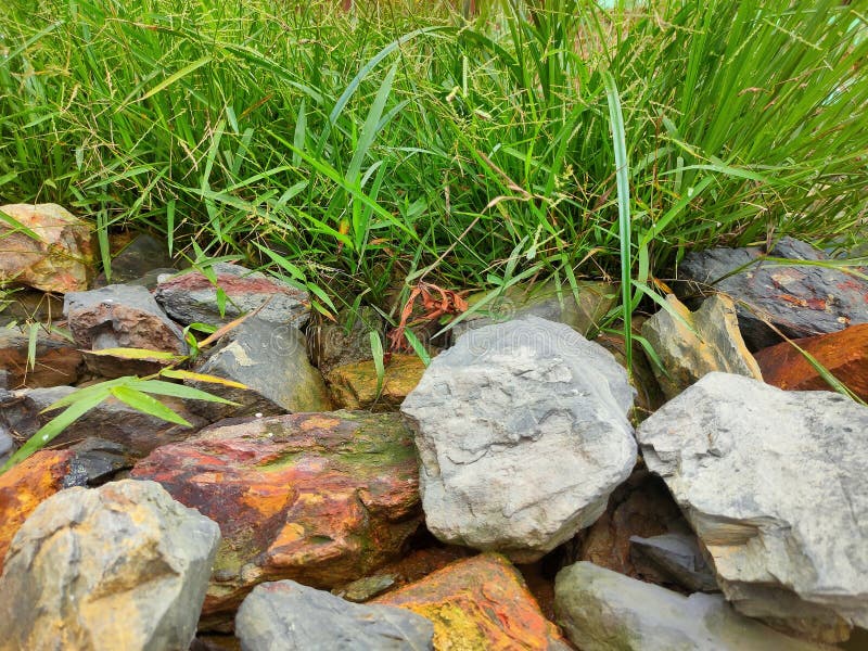 View of Green Grass and Rocks Stock Image - Image of empty, antique ...
