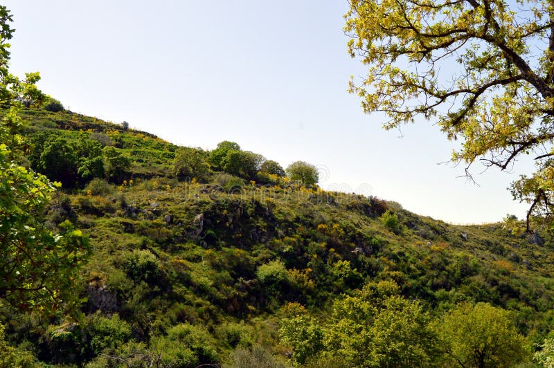 View of a green landscape. stock photo. Image of beauty - 70835040