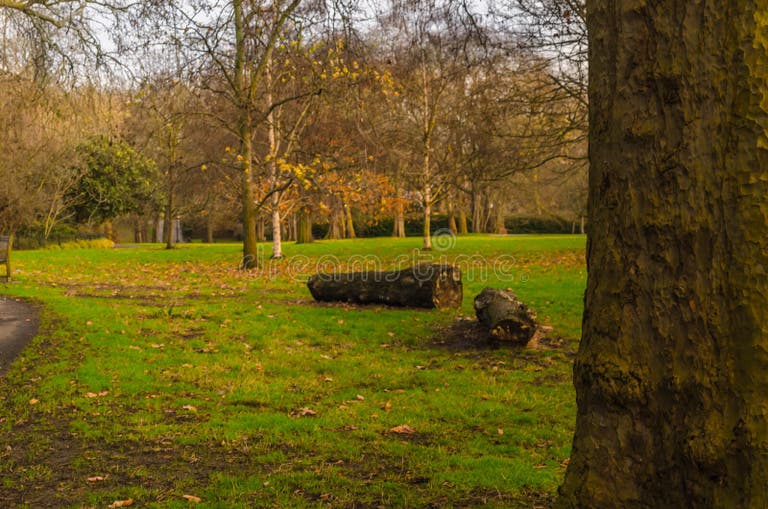View of the green park stock photo. Image of view, alley - 85021910
