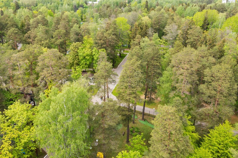 View of Green Park Trees from Above Stock Photo - Image of landscape ...