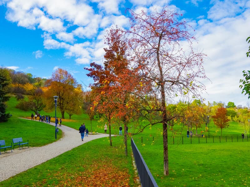 View on Green Path with Trees through Fields in Prague, Czech Republic ...