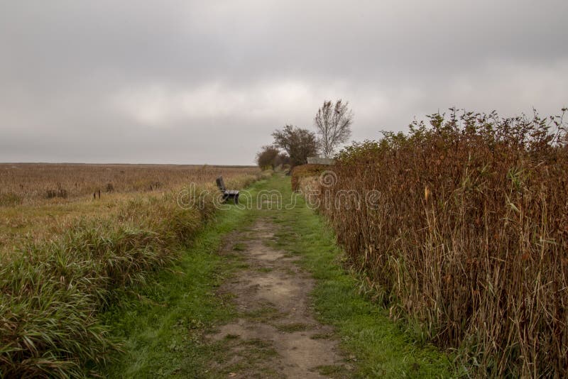 A View of a Green Trail with Long Grass on the Right Stock Image ...