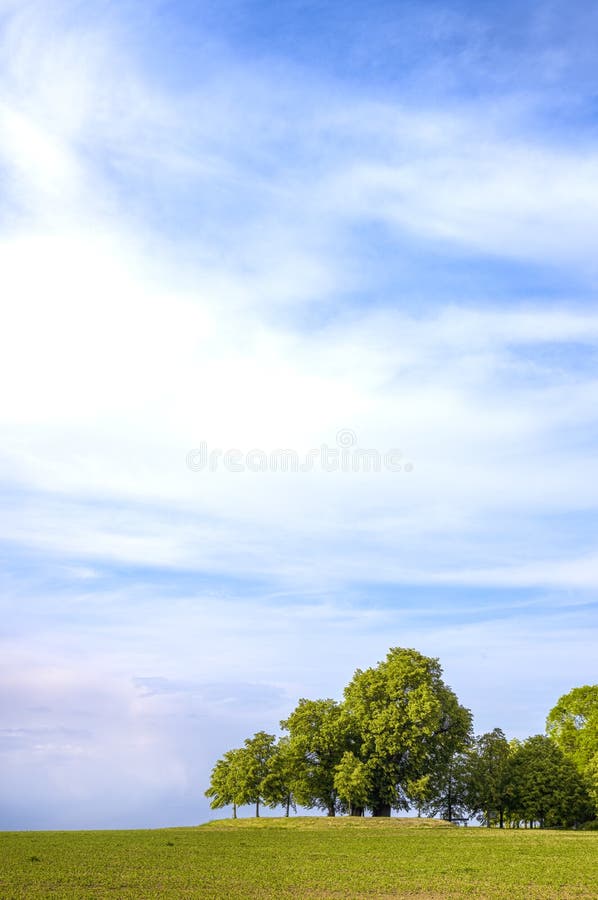 View on Green Tree and Field in Spring Stock Photo - Image of landscape ...