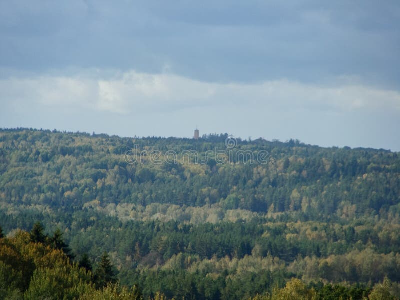 View of green tree tops stock photo. Image of trees - 164816284