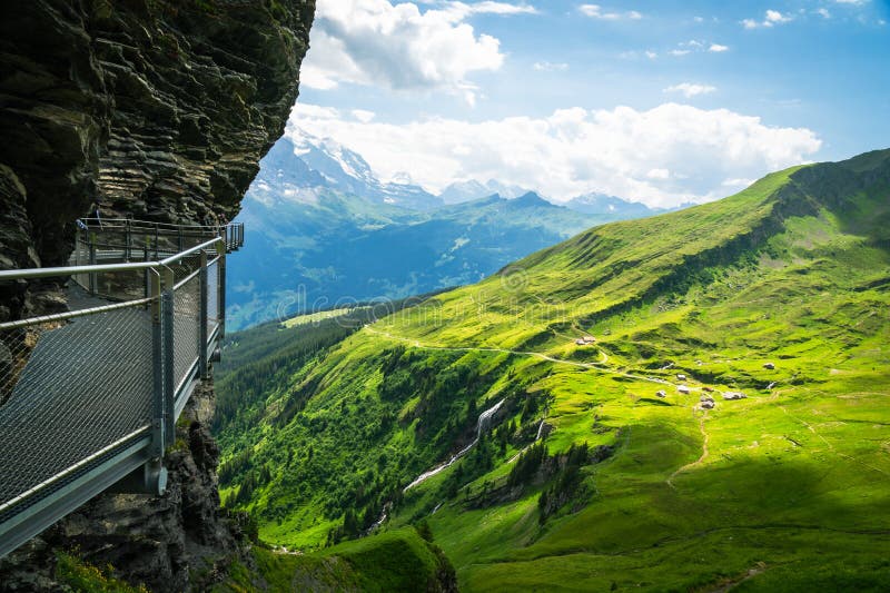 View of Grindelwald First Cliff Walk in Switzerland Stock Image - Image ...