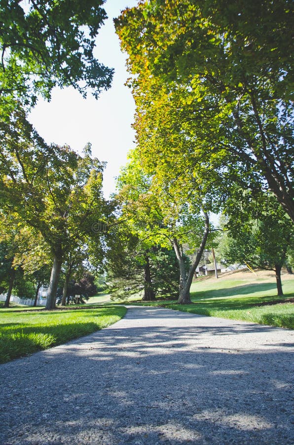 Down on the Sidewalk Under the Trees in the Park Stock Photo - Image of ...